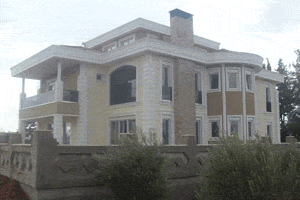 Zenon Panel Official Web Site