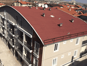 Zenon Panel Official Web Site